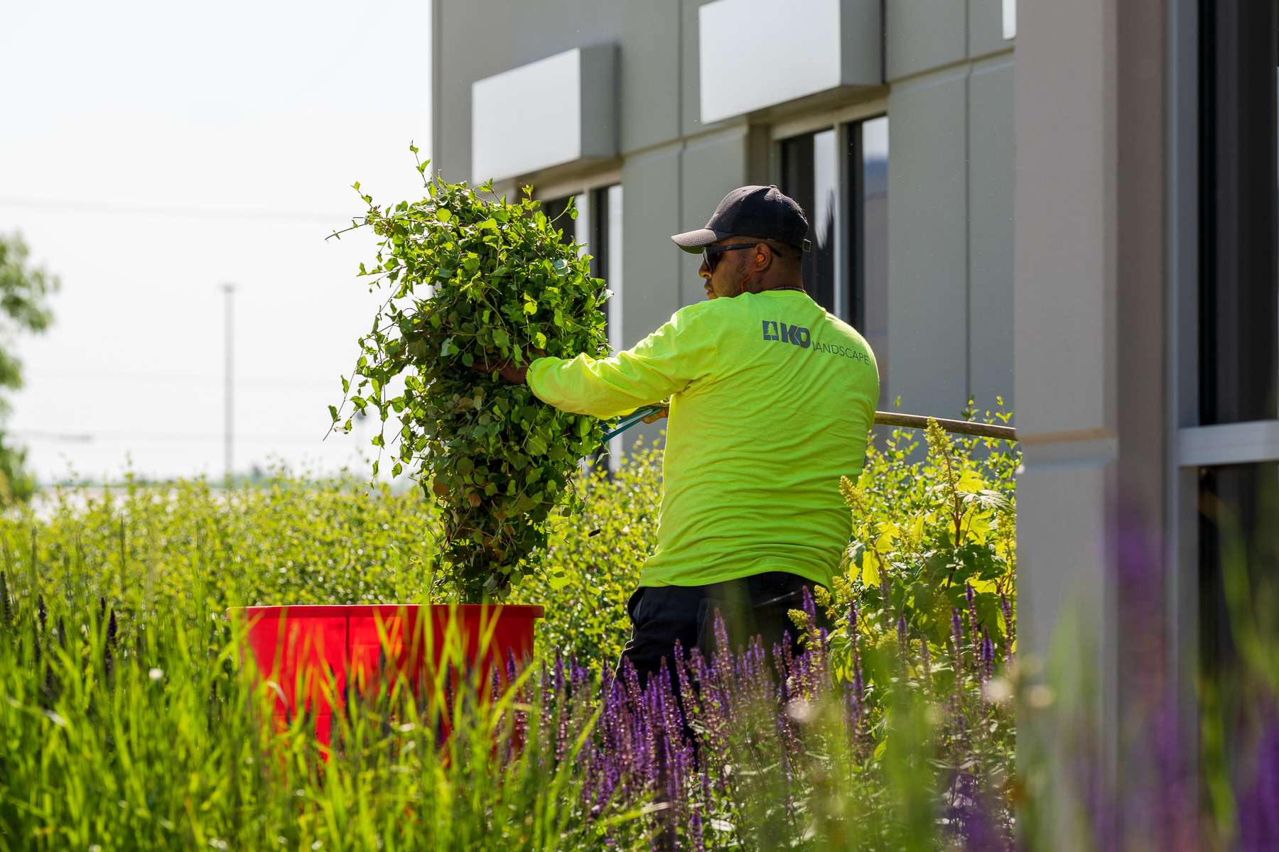Your Weekly Commercial Landscape Maintenance Checklist for Greater Chicago