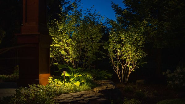 Uplighting vs. Downlighting: How to Choose Your Landscape Lighting