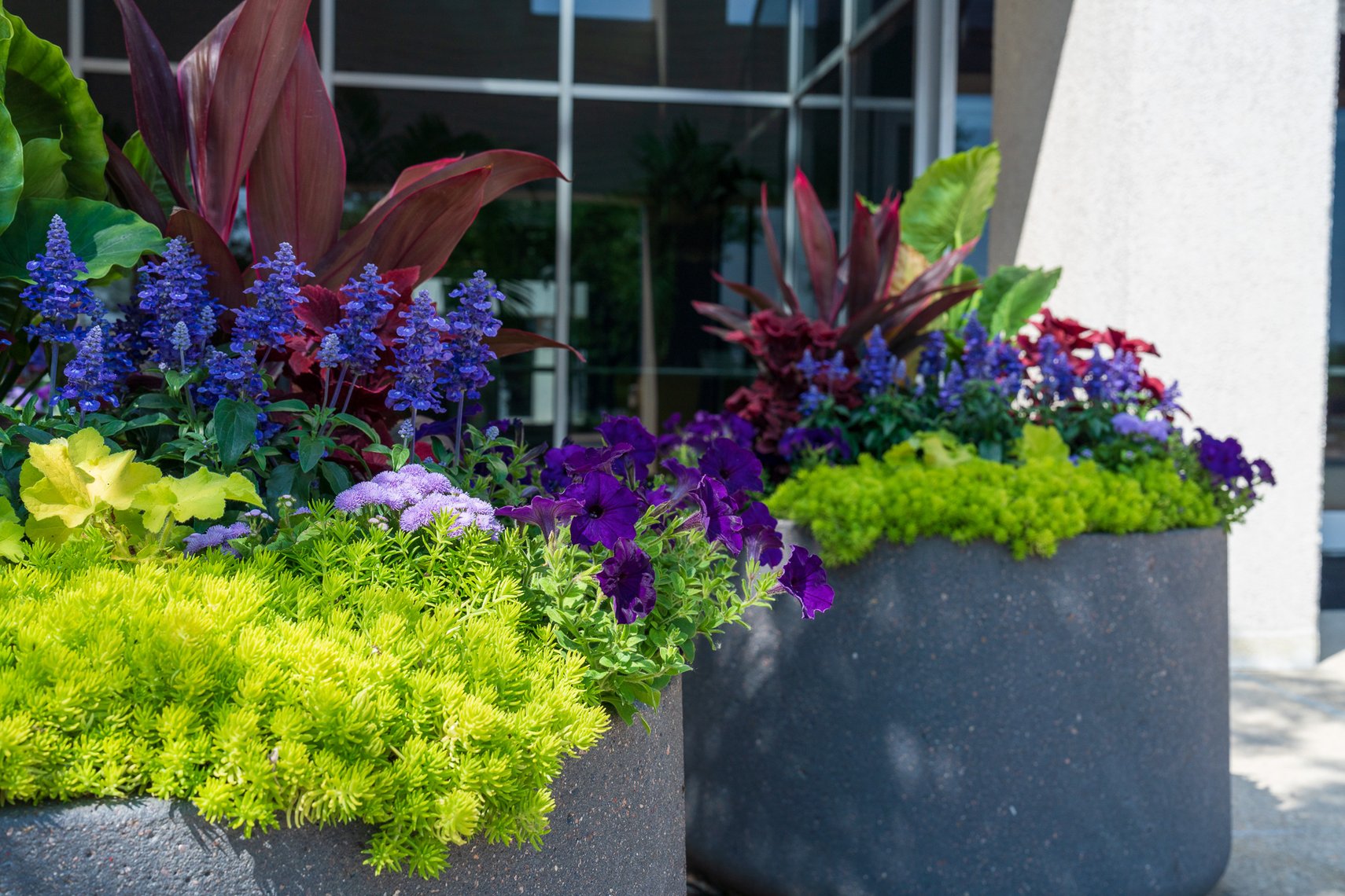 5 Simple Commercial Landscaping Enhancements That Have a Big Impact