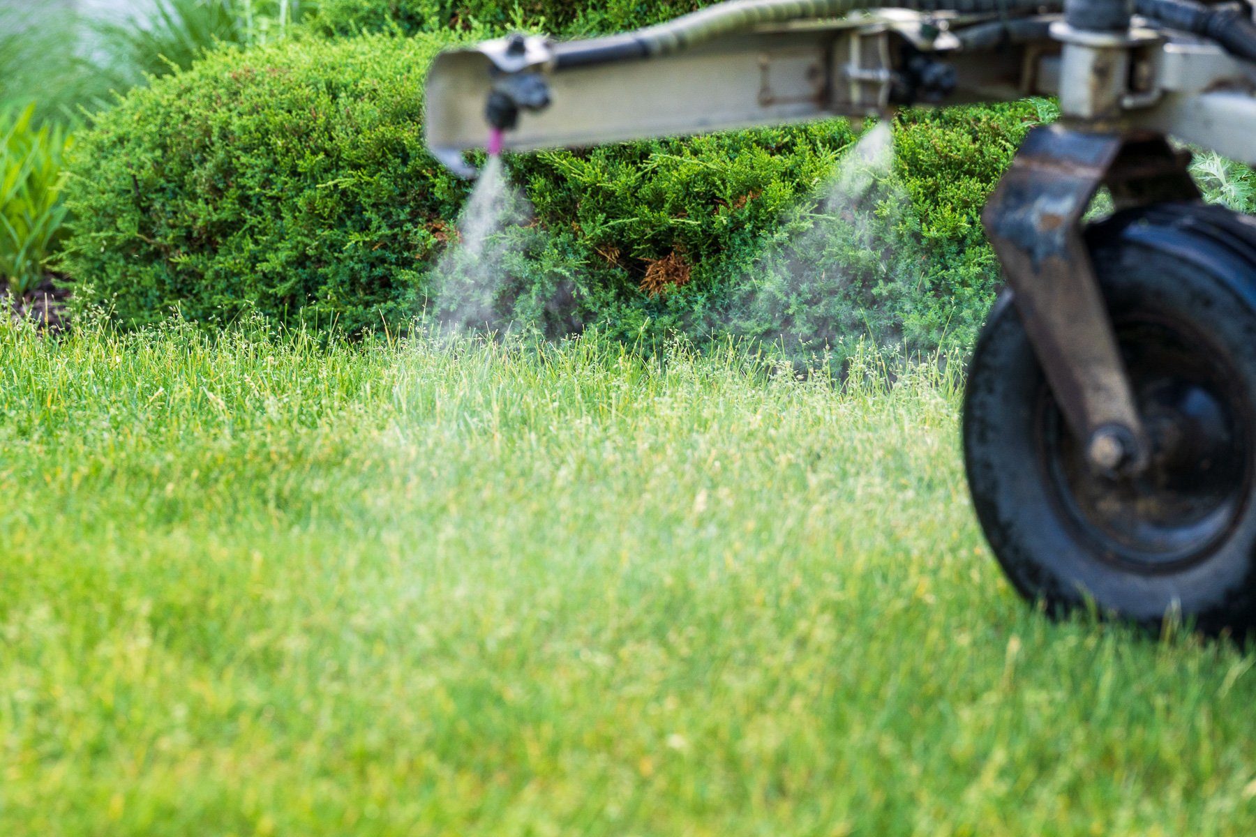 Your Weekly Commercial Landscape Maintenance Checklist for Greater Chicago