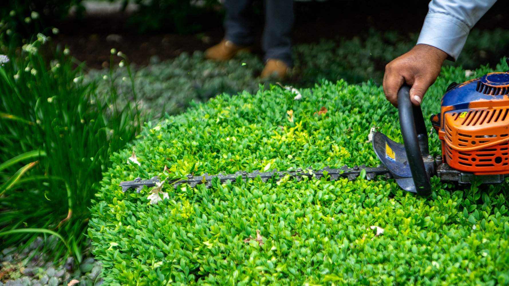 5 Simple Commercial Landscaping Enhancements That Have a Big Impact